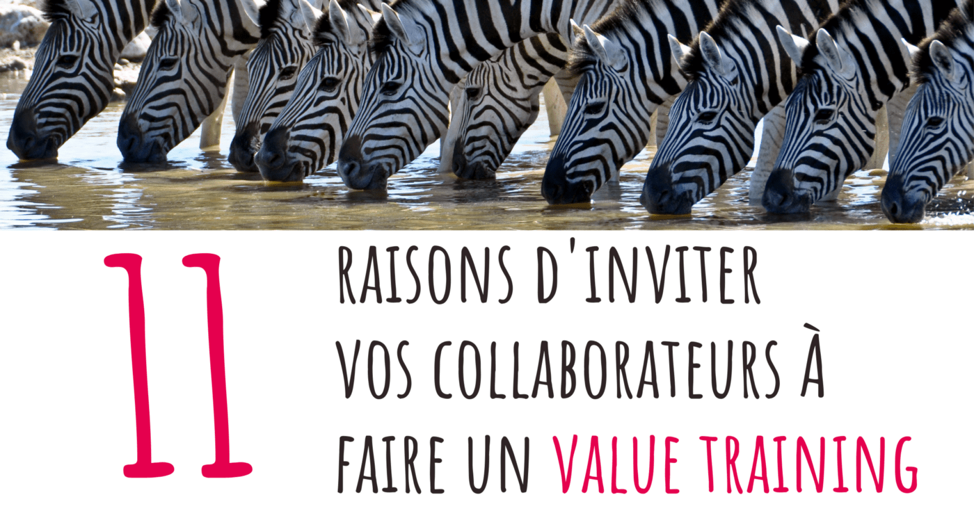 11 raisons d’inviter vos collaborateurs à vivre un Value Training ...