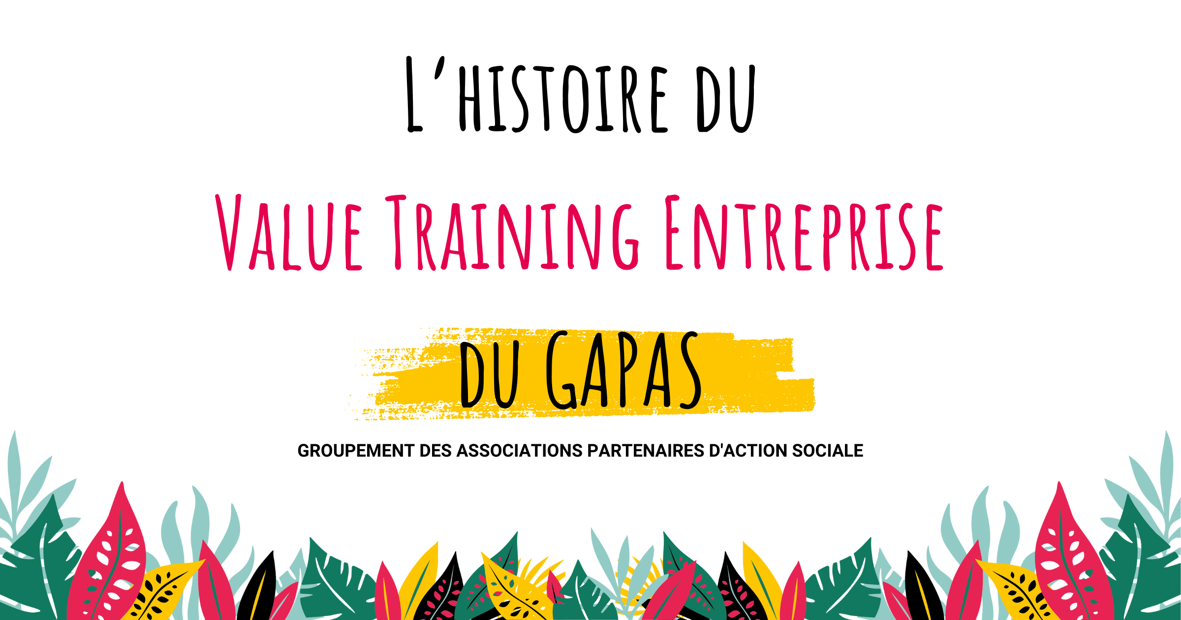 Témoignage Gapas : Le Value Entreprise de Valeurs&Valeur